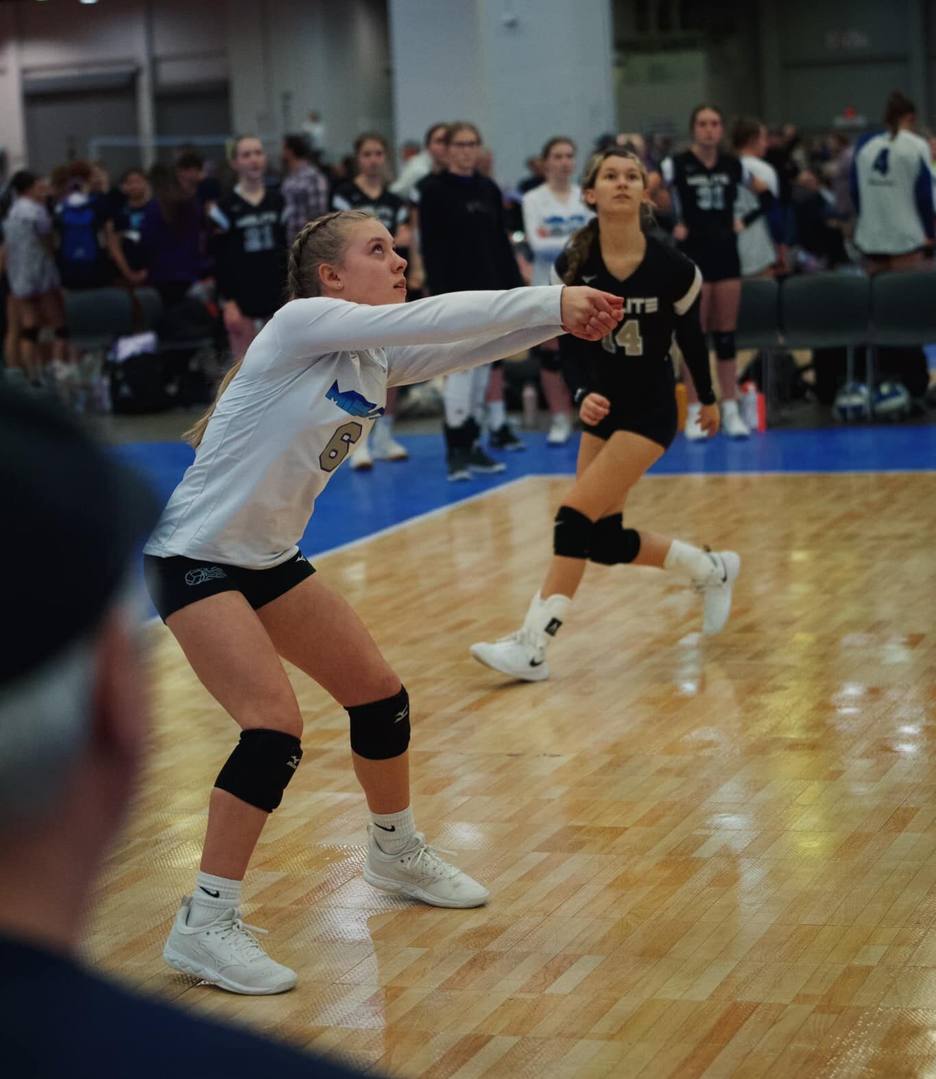 Home - Michigan Elite