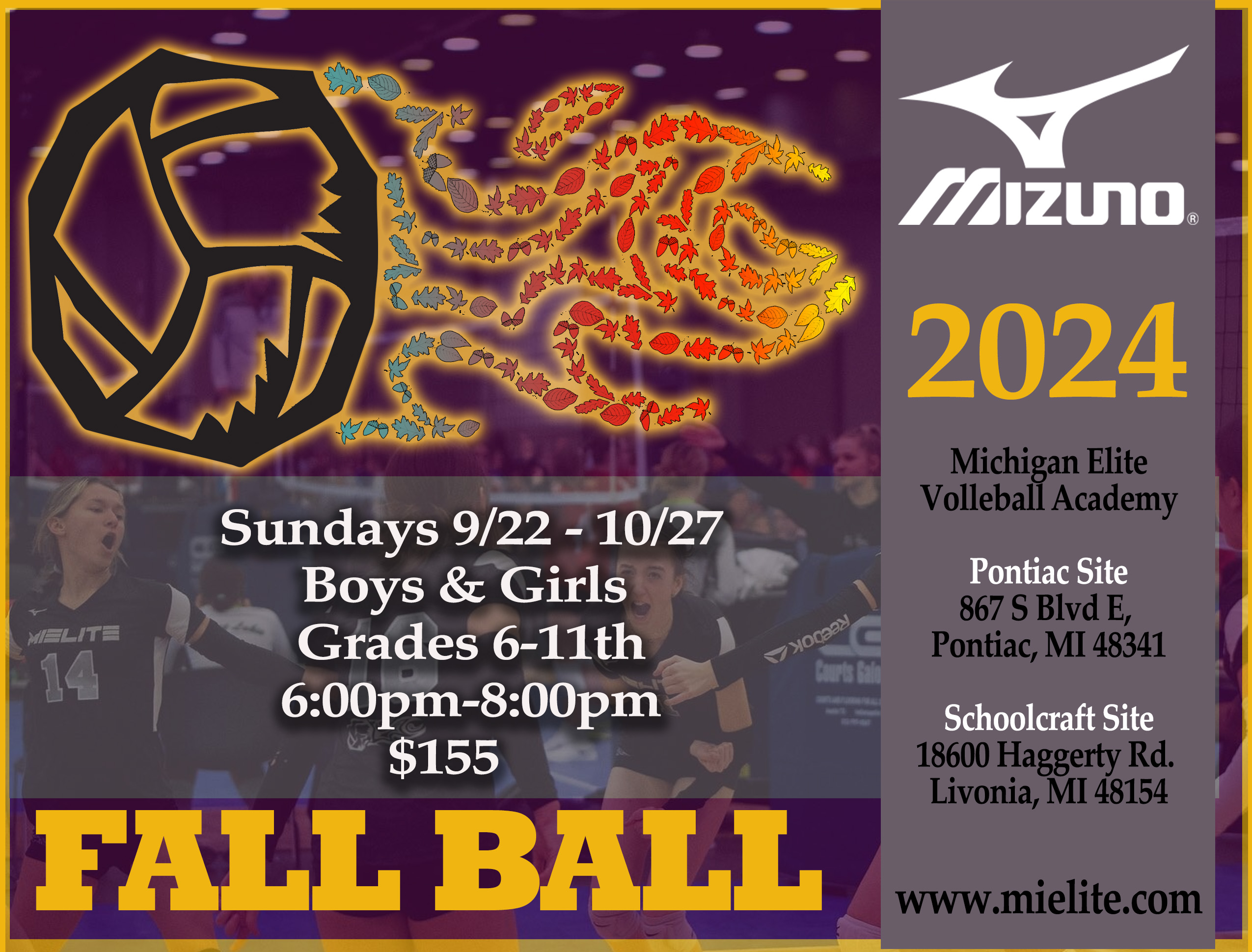 Home - Michigan Elite